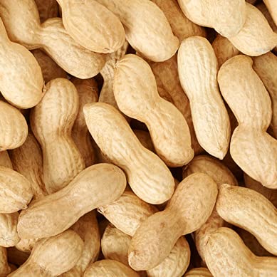 Arachide - LES 10 MEILLEUR(E)S EN COMPARATIF